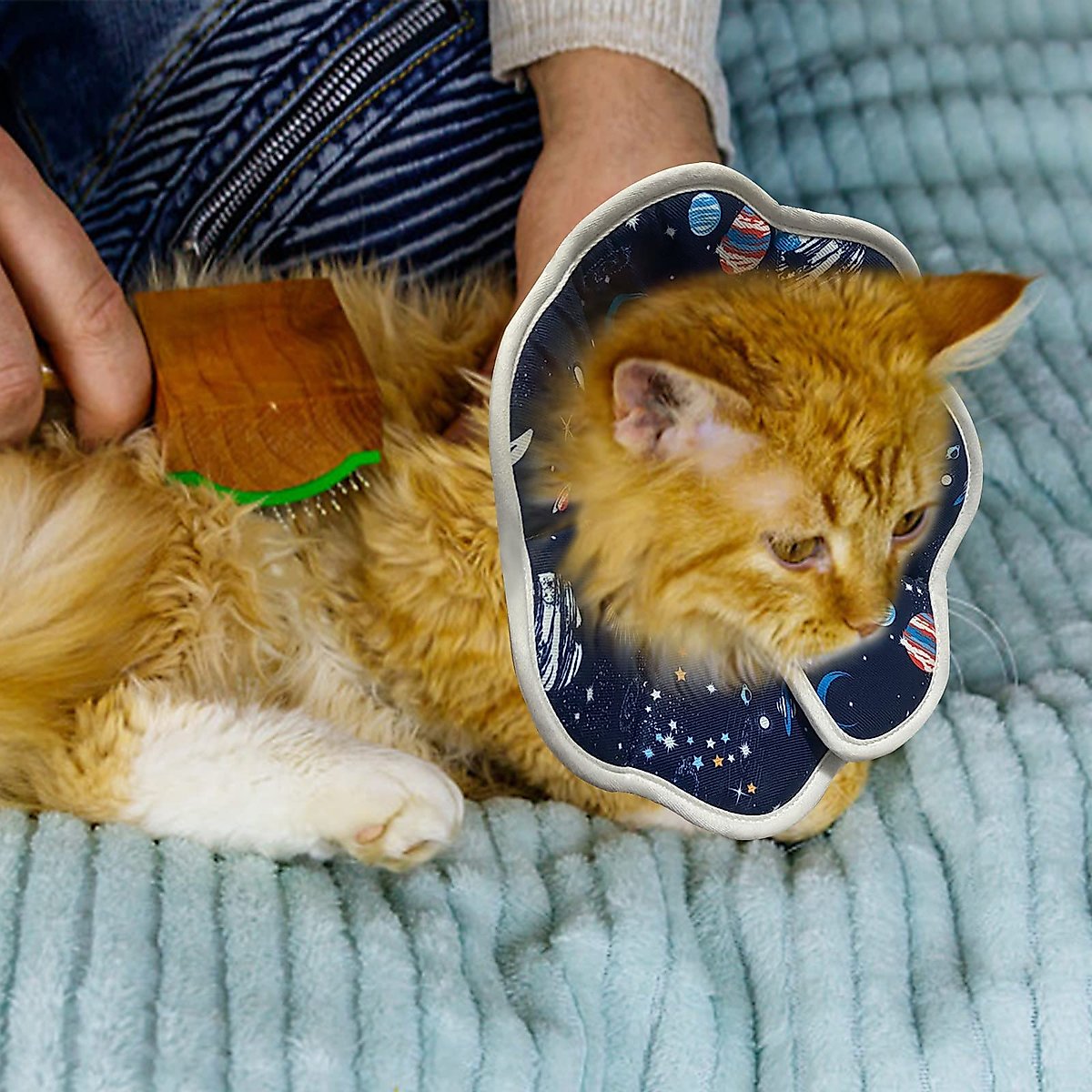 WPLQGL Cat Cone Collar Soft, Cat Cones After Surgery, Recovery Collars, Waterproof, Soft, Size Adjustable,Suitable for Bathing, Grooming, Preventing Scratching and Licking (M (Neck:9-11 in))