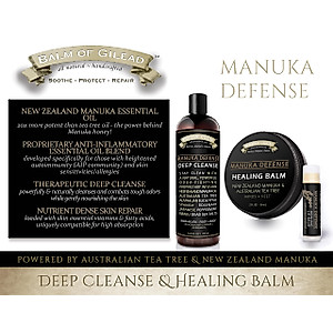 BALM OF GILEAD Manuka Defense Healing Lip Balm - Intensive Moisture Therapy in Tube w/Manuka, Tea Tree & Cooling Peppermint - Ideal for Chapped & Cracked Lips - Beauty Pack Of 4-0.15 oz