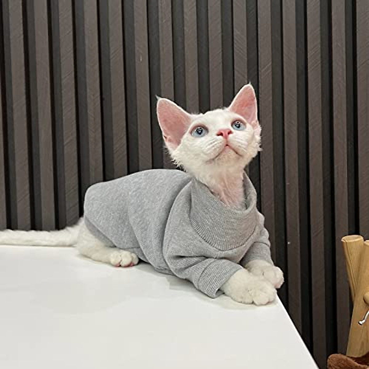 Sphynx Hairless Cat Clothes Autumn Thicken Soft Turtleneck Hoodies Solid Color Cotton Pullover Cat Sweatshirt Pet Clothes (XL（8.8-11lbs）, Grey)