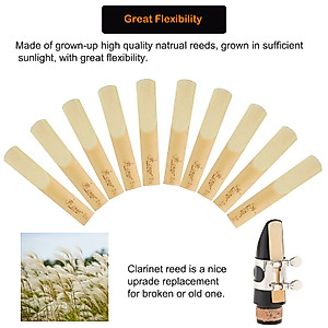 Clarinet Reed 2.5, Bb Clarinet Reeds Strength 2.5 with Plastic Case, 2.5 Clarinet Reeds, Pack of 10