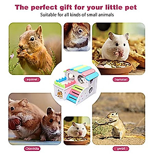 4 Pack Hamster Toys, Two Layers Rainbow Hamster House with Ladder Slide for Hamster Hideout Perch, Hanging Swing & Triangle Swing & Hamster Seesaw for Sport Exercise, Syrian Hamster Cage Accessories