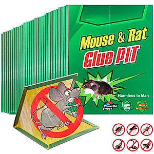 30 Pcs Mouse Traps Mouse Glue Traps with Enhanced Stickiness Sticky Traps for Mice, Rats Sticky Pads Mouse Glue Boards Pest Control Traps for House Indoor Outdoor Easy to Set (30 Pcs, 9.4'' x 6.6'')