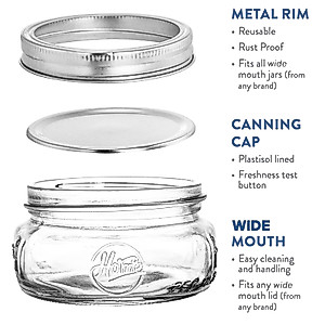 Tebery 24 Pack Home Glass Mason Jars with Silver Metal Airtight Lids and Bands, 8-Ounce Wide Mouth Glass Canning Jars for for Canning, Preserving, Meal Prep, Overnight Oats, Jam, Jelly