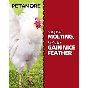 Dried grubs for Chicken -Alternative to Dried mealworms for Chickens-Dried Black Soldier Fly Larvae for Laying hens Backyard Flock Party Poultry, Fowl, Reptiles, Amphibian etc