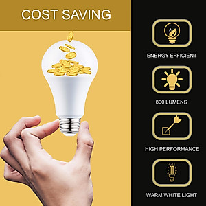 Laborate Lighting A19 LED Light Bulbs - E26 Base, 60W, 800 Lumens, Warm White 2700K Illumination - Dimmable, Energy Saving Outdoor & Indoor Home, Commercial Lighting - 80+ CRI, 10-Year Life - 4-Pack