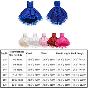 Flower Princess Girls Dress for Kids Wedding Bridesmaid First Communion Birthday Party Holiday Formal Prom Dance Evening Ball Gown Embroidery Lace Long Tutu Dresses Hot Pink 7-8 Years