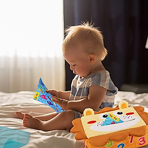 Magic Baby Tissue Box Toy,Funny Sensory Toys for Toddlers,Montessori Toys for Babies 6-12 Months,Soft 6-9-12-24 Month Old Baby Toys,Early Learning Infant Toys Gifts with Crinkle Squares Play Scarves