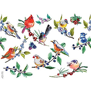 Tervis Watercolor Songbirds Made in USA Double Walled Insulated Tumbler Cup Keeps Drinks Cold & Hot, 24oz, Clear