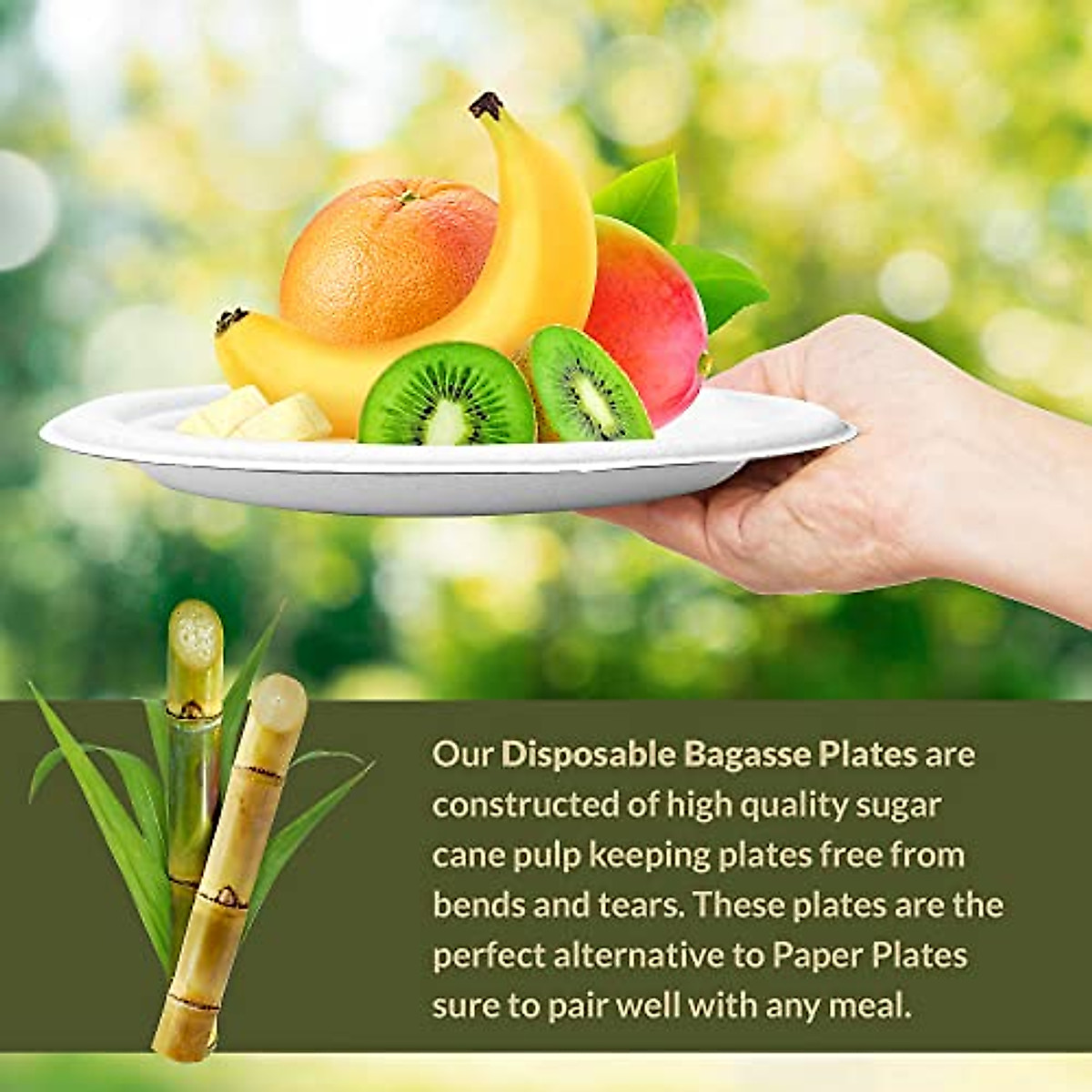 Reli. Compostable Oval Paper Plates, 12 Inch (125 Count) | White, Large Paper Plates | Heavy Duty, Disposable | Disposable Platters (12x10) | Made of Sugarcane Fibers, Bagasse- Biodegradable