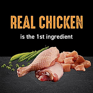 CRAVE Grain Free Adult High Protein Natural Dry Cat Food with Protein from Chicken, 10 lb. Bag