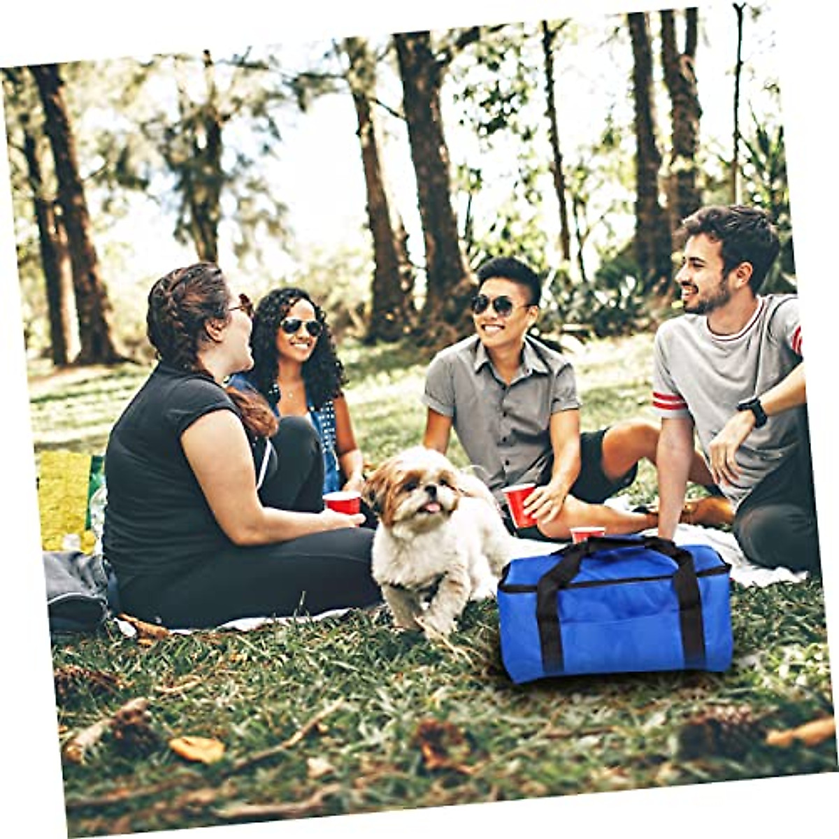 INOOMP Insulated Bag Collapsible Basket Coffee Cooler Outdoor Basket Food Delivery Backpack Beverage Delivery Carrier Insulated Shopping Bags Lunch Insulated Bag Food Delivery Bag Blue