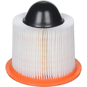 FRAM Extra Guard CA8039 Replacement Engine Air Filter for Select Eldorado, Ford, Lincoln and Winnebago Models, Provides Up to 12 Months or 12,000 Miles Filter Protection