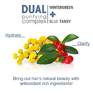 GIOVANNI 2chic Clarifying & Calming Conditioner - Clarifying Hair Conditioner, Helps Remove Residue, Hydrating, Detox Conditioner, Color Safe, Wintergreen & Blue Tansy - 24 oz