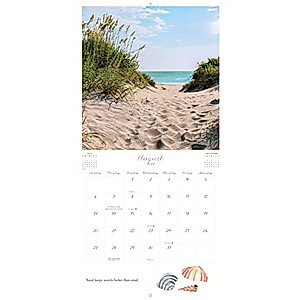Where the Crawdads Sing Wall Calendar 2023