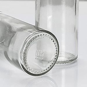 Tianifa 6 Pcs Glass Spice Jars/Bottles -3oz Empty round Spice Containers with Airtight Metal Caps with Shaker Lids (6, Stainless Steel Lids)