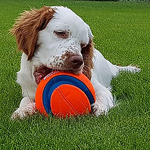 Chuckit! Kick Fetch Ball Dog Toy, Large (8 Inch)