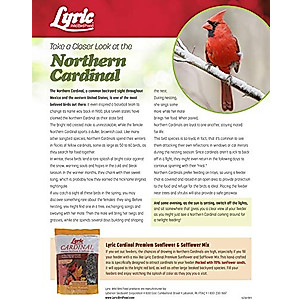 Lyric Cardinal Wild Bird Seed - Sunflower & Safflower Premium Bird Food Mix for Cardinals, Grosbeaks & Blue Jays - 3.75 lb bag
