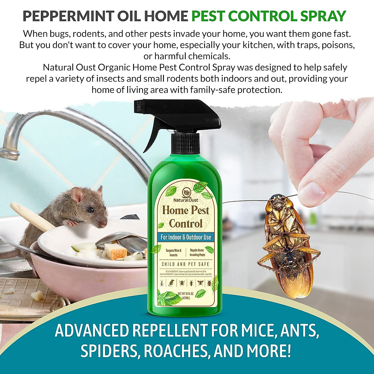 NATURAL OUST Peppermint Oil Mouse Repellent Spray - Roach Ant Spider Bug Insect Killer - Eco Friendly Pest Control to Repel Mice - Humane Repeller Alternative to Trap