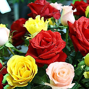 100+ Mixed Multicolored Rose Flower Seeds Perennial Flowers Rare Plants Garden Bonsai