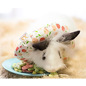 Adjustable Rabbit Protection Cone Collar,Soft Pet Recovery Collar for Rabbits/Chinchilla/Guinea Pigs/Kittens After Surgery Wound Healing,Elizabeth Neck E-Collar for Small Animals (XS, Pink Cherry)