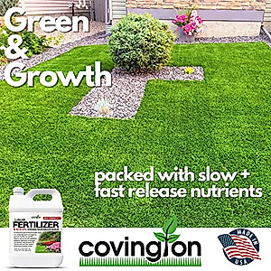 Covington Liquid 10-10-10 Fertilizer for Lawns, Plants, Vegetables, All Purpose Fertilizer 10-10-10 Concentrate, Liquid 10 10 10 NPK Lawn Food with Nitrogen Phosphorus Potassium, 32 Ounces
