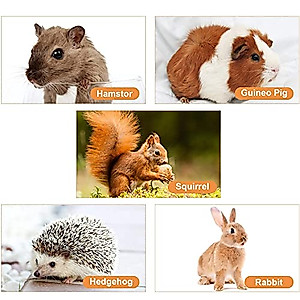 2Tier Pet Cage Hammock,Small Animal Hammock,Hamster Hanging BunkbedHammock Tunnel WarmBed House Cage NestCage Hanging Tunnel and Hammock for Sugar Glider Squirrel Hamster Parrot Mice