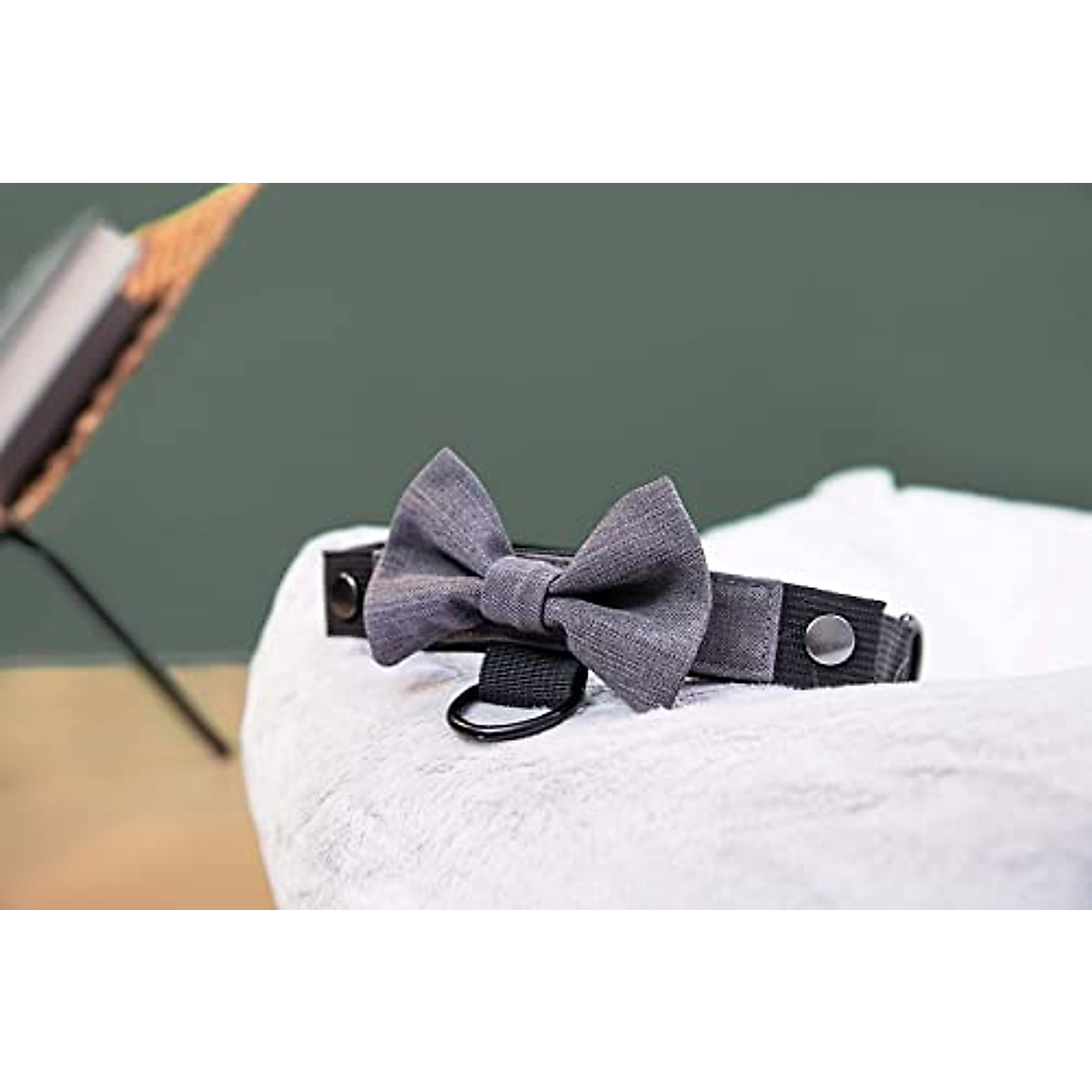 BOW Gentle - Modular Dog Collar