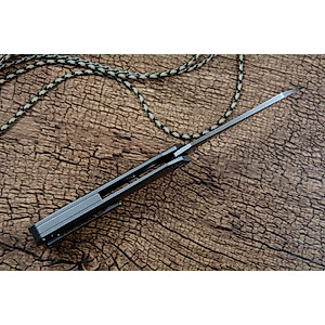 TWO SUN Hunting Utility Folding Knife 14C28N Satin Blade TC4 Titanium Handle Flipper Fast Open TS298, gray