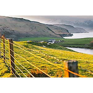 AgriOtter Electric Fence Energizer 20 Acre 2 in 1 Powered by Battery or AC Outlet 10000V 2J Pulse Electric