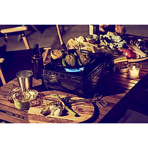 Fore Winds by Iwatani Rugged Camp Butane Stove