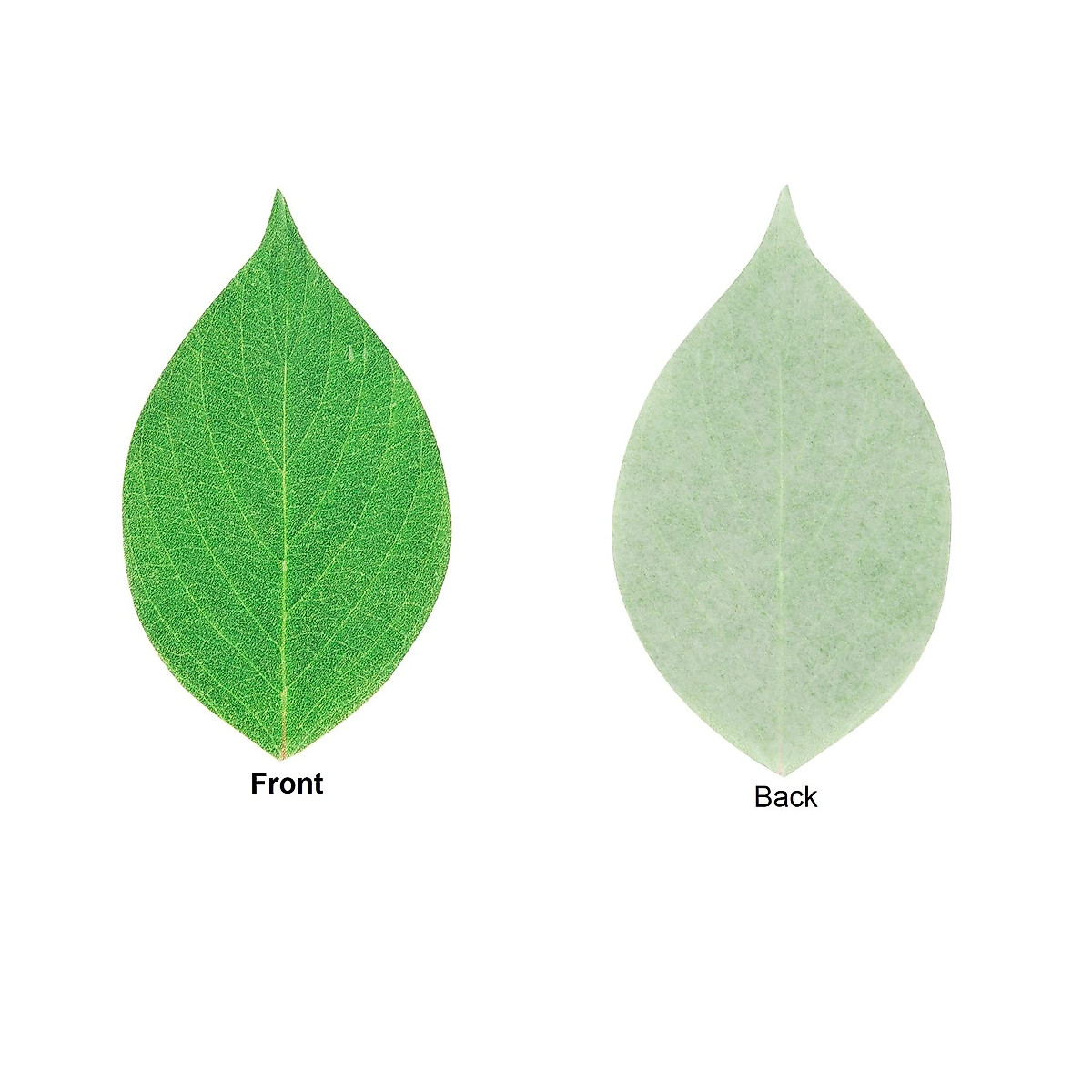 Oasis Supply Grease Resistant Leaf Cheese Paper, Disposable Cheese Board Paper, Package of 10 - Medium 7"