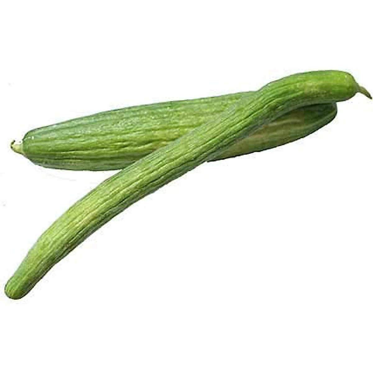 "Armenian Dark Green" Cucumber Seeds for Planting, 100+ Heirloom Seeds Per Packet, (Isla's Garden Seeds), Non GMO Seeds, Botanical Name: Cucumis sativus, Great Home Garden Gift