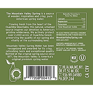 Mountain Valley Sparkling Water, 333 mL Glass Bottles (Pack of 24)