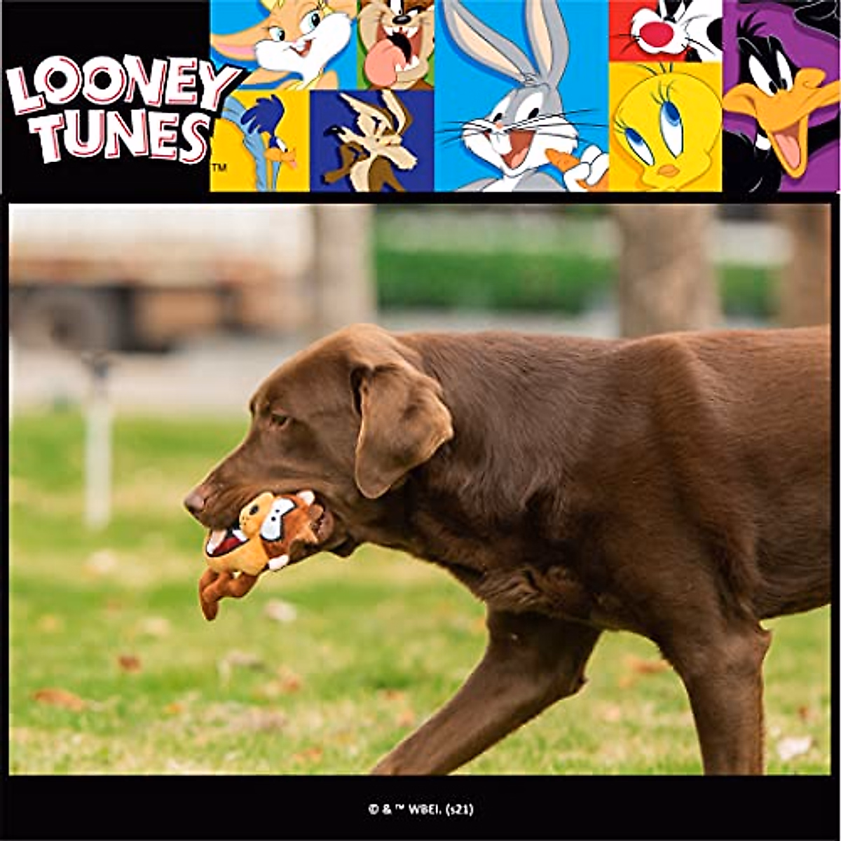 LOONEY TUNES for Pets Brown Tasmanian Devil Taz Ball Body Plush Dog Toy for All Dogs | Squeak Toy for Dogs | Cartoon Character Soft Plush Stuffed Dog Toy