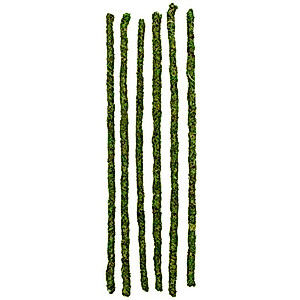 Supermoss Galápagos (05321) Mossy Terrarium Sticks (6 Pack), 24"