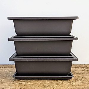 Tinyroots Bonsai Pots with Humidity Trays - Training Planters, Built in Mesh, 6-inch and 8-inch