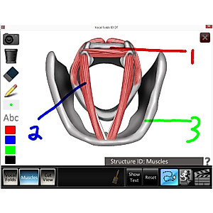 Vocal Parts, Pharynx & Larynx Anatomical Chart with Software Larynx and Vocal Fold ID Speech Language Pathology, SLP, Singing