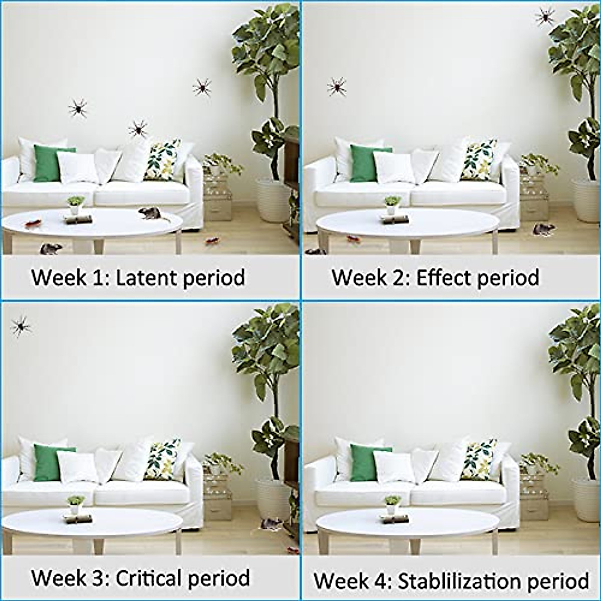 Careland Ultrasonic Mouse Repellent Squirrel Repeller Rodent Detector Rat Deterrent Pest Repellent Mice Deterrent for Indoor Use