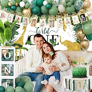 Wild One Birthday Decorations For Boys Jungle Theme Baby Shower Safari 1st Party Supplies Palm Leaf Balloon Garland Kit