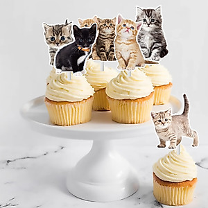 36pcs Baby Cat Cupcake Toppers Cute Cat Cupcake Toppers Kitten Pet Birthday Party Decoration for Kitty Cat Theme Birthday Party Baby Shower Supplies