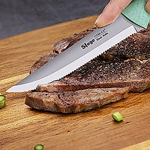 Slege 8pcs Steak Knife Set, Stainless Steel Knives with Extre-light Straw Handle, Serrated