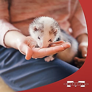 Marshall Pet Products Natural Complete Nutrition Premium Ferret Diet Food with Real Chicken Protein, Highly Digestible, 7 lbs