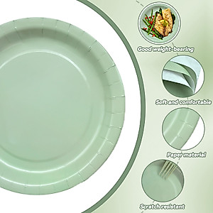 96 Pieces Sage Green Tableware Party Supplies - Elegant Light Green Disposable Dinnerware Set with Paper Plates, Napkins, and Forks for Birthdays, Weddings, Bridal Showers, Baby Showers - Serves 24