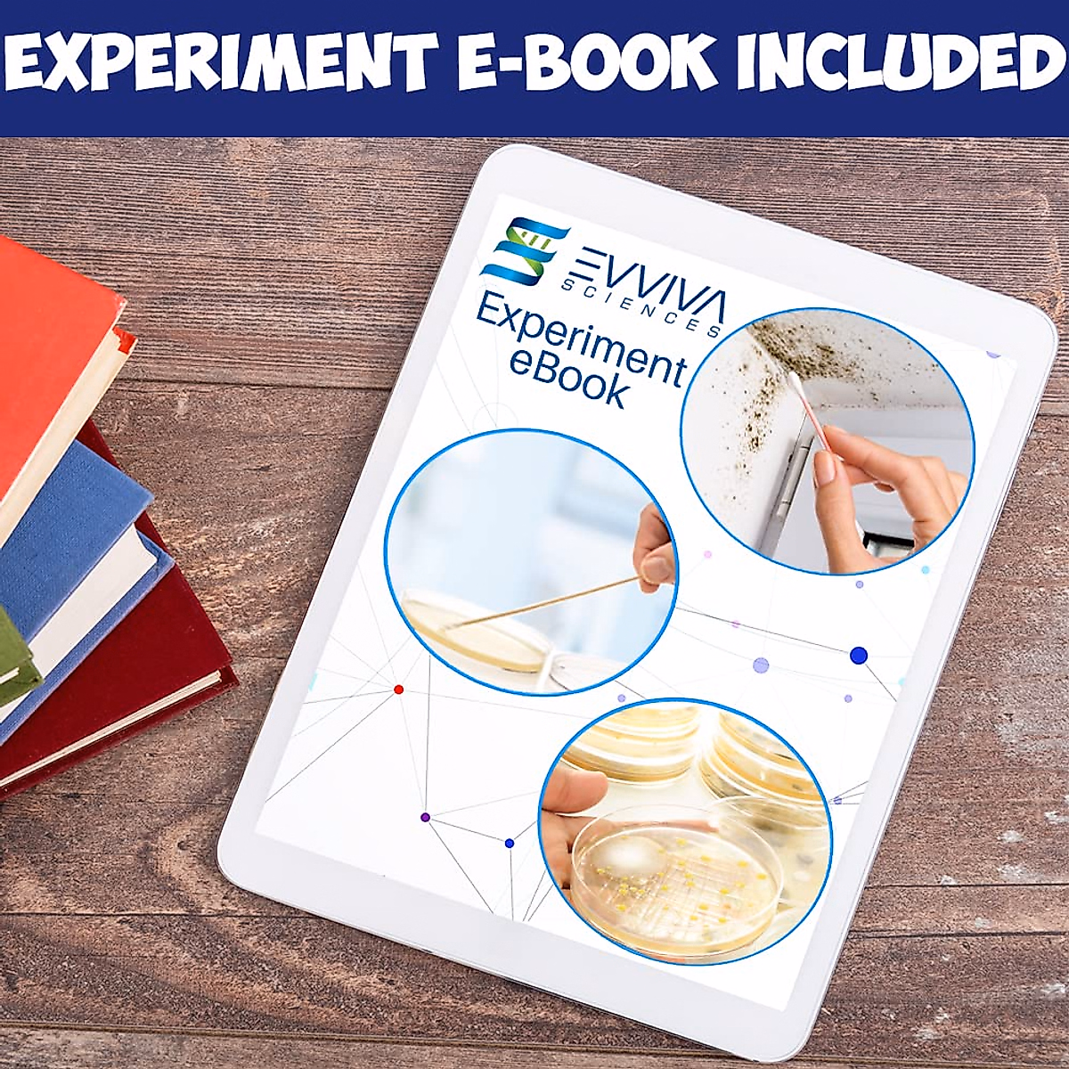 Nutrient Agar Plates by Evviva Sciences, Prepoured Nutrient Agar Petri Dishes for Science Fair Projects & Microbiology Experiment, Helps Microorganisms Thrive - Swabs Not Included