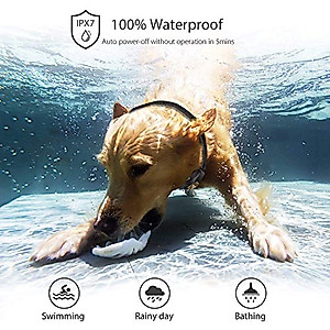 PATPET Dog Training Collar with Remote - Rechargeable Shock Collar for Medium Large Dogs 1000Ft Remote Range 3 Training Modes IPX7 Waterproof Black