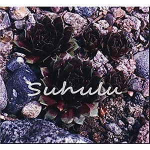 Fash Lady 200 Pcs Sale!Hens and Chicks Succulent Mix Seeds (Sempervivum Hybridum) Bonsai Plant Flower Seeds for Home Garden 4