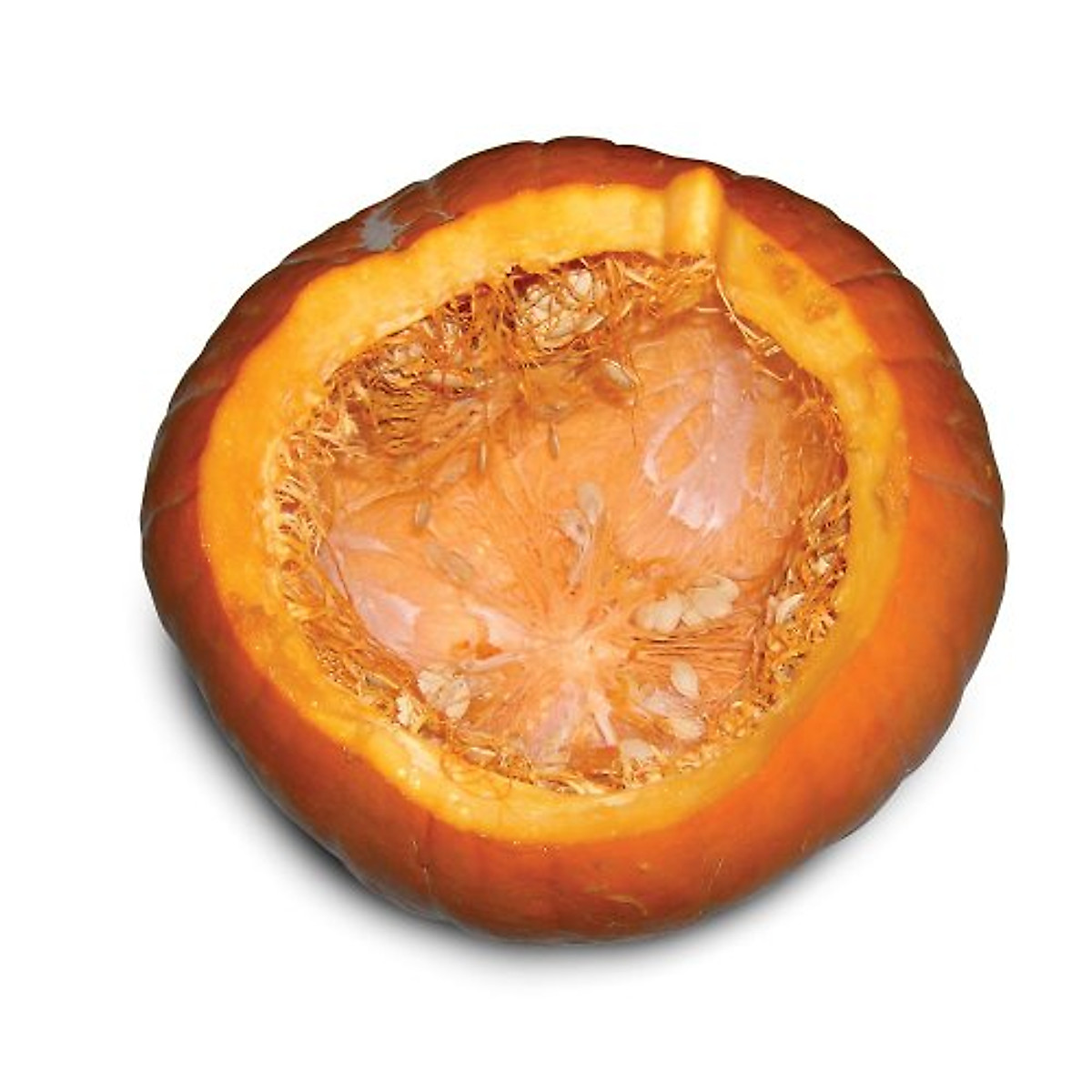 Dakota Products PG001 Pumpkin Gutter & Carving Tool,Silver