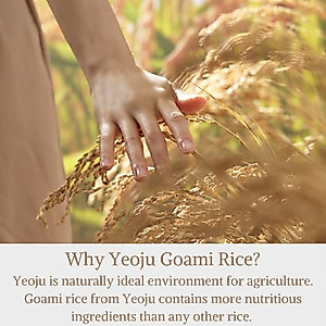 [I'm From] Rice Toner, 5.07 fl oz | 77.78% Rice Extract from Korea, Glow Essence with Niacinamide, Hydrating for Dry Skin, Vegan, Alcohol Free, Fragrance Free, Peta Approved, k Beauty Toner