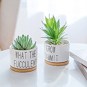Succulent Pots, Popvip 3.15 Inch Ceramic Funny Planter Pots with Bamboo Tray, Housewarming Gift for Women, Best Friend, Daughter, Mom, Coworker, Pack of 2 - Plants Not Included (A)