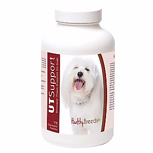 Healthy Breeds Coton de Tulear Cranberry Chewables - UT Support - Effective in Helping Fight Harmful Bacteria & Prevent Infection in Your Dog's Bladder - 75 Count